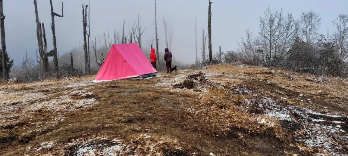 Bajre Dara Trek | itinerary, cost plan details | trek in sikkim